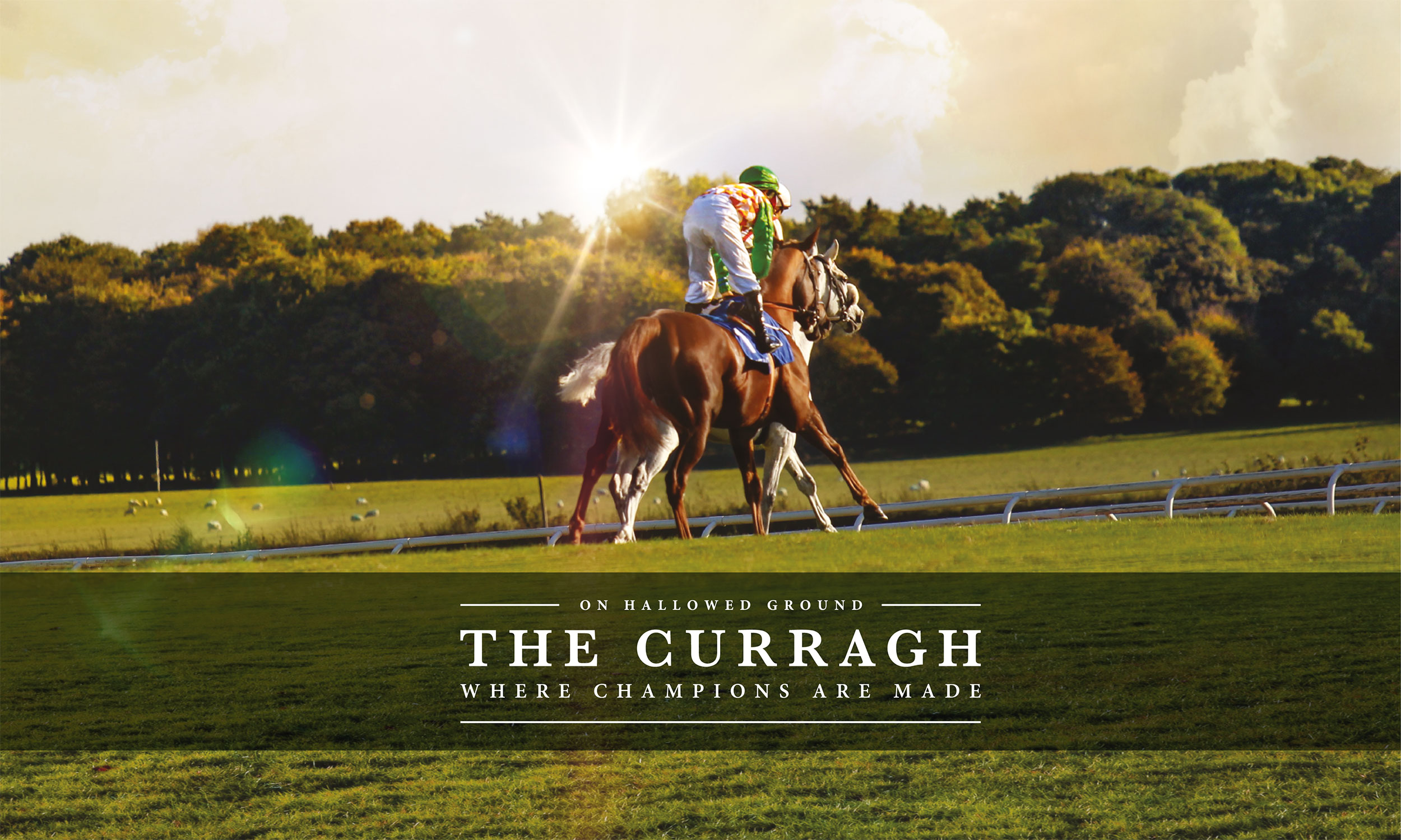 The Curragh • Goosebump