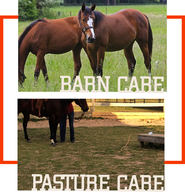 Austin Stables Horse Boarding in Austin, TX