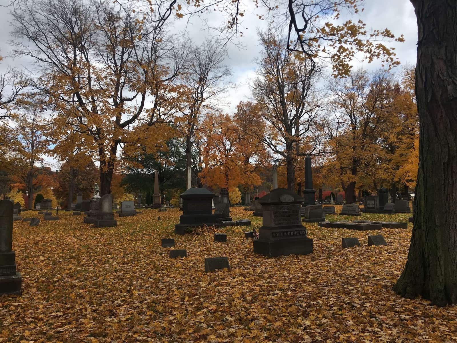 Seasonal Photo Gallery | Beaver Cemetery & Mausoleum