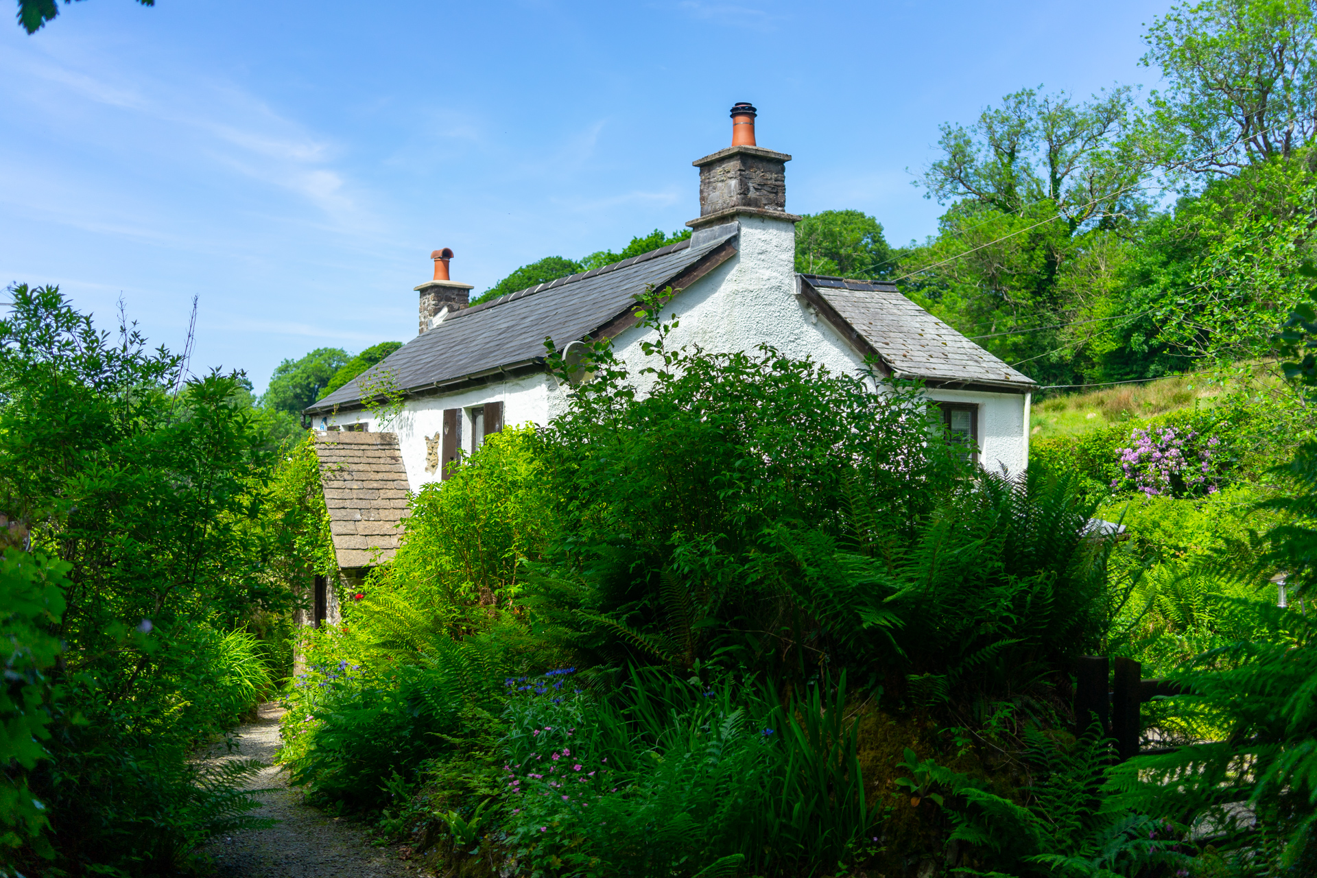 Idyllic Devon Countryside Holiday Cottage - Crooked Lake