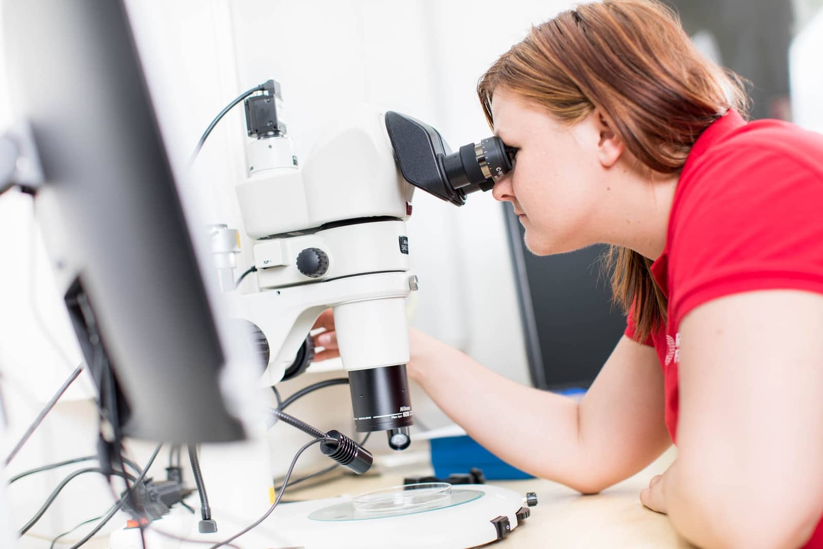 About us - Riflex Film