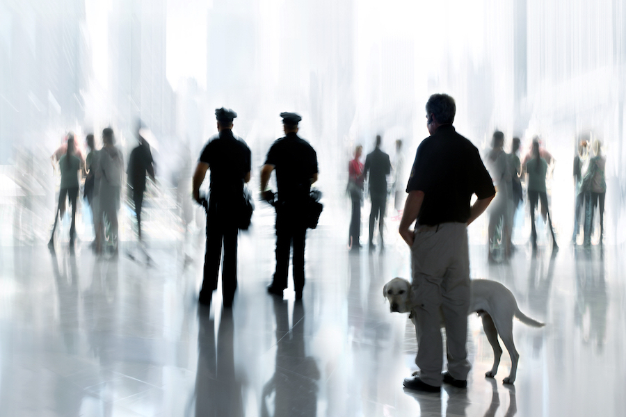 Foot Patrol Security Services - Bannerman