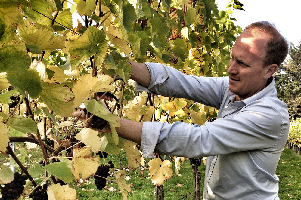 Squerryes | Squerryes recognised as one of top 5 Champagne and ...