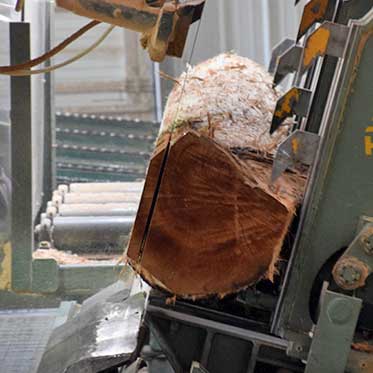 Mohawk Lumber - Ohio Logging Company | Tree Buyers | Kiln Dried Lumber