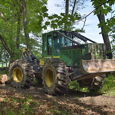 Mohawk Lumber - Ohio Logging Company | Tree Buyers | Kiln Dried Lumber