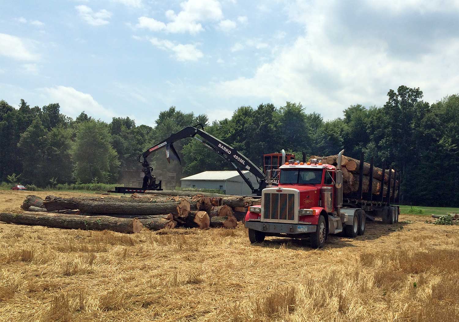 Ohio Logging Company | Mohawk Lumber - Forest Management