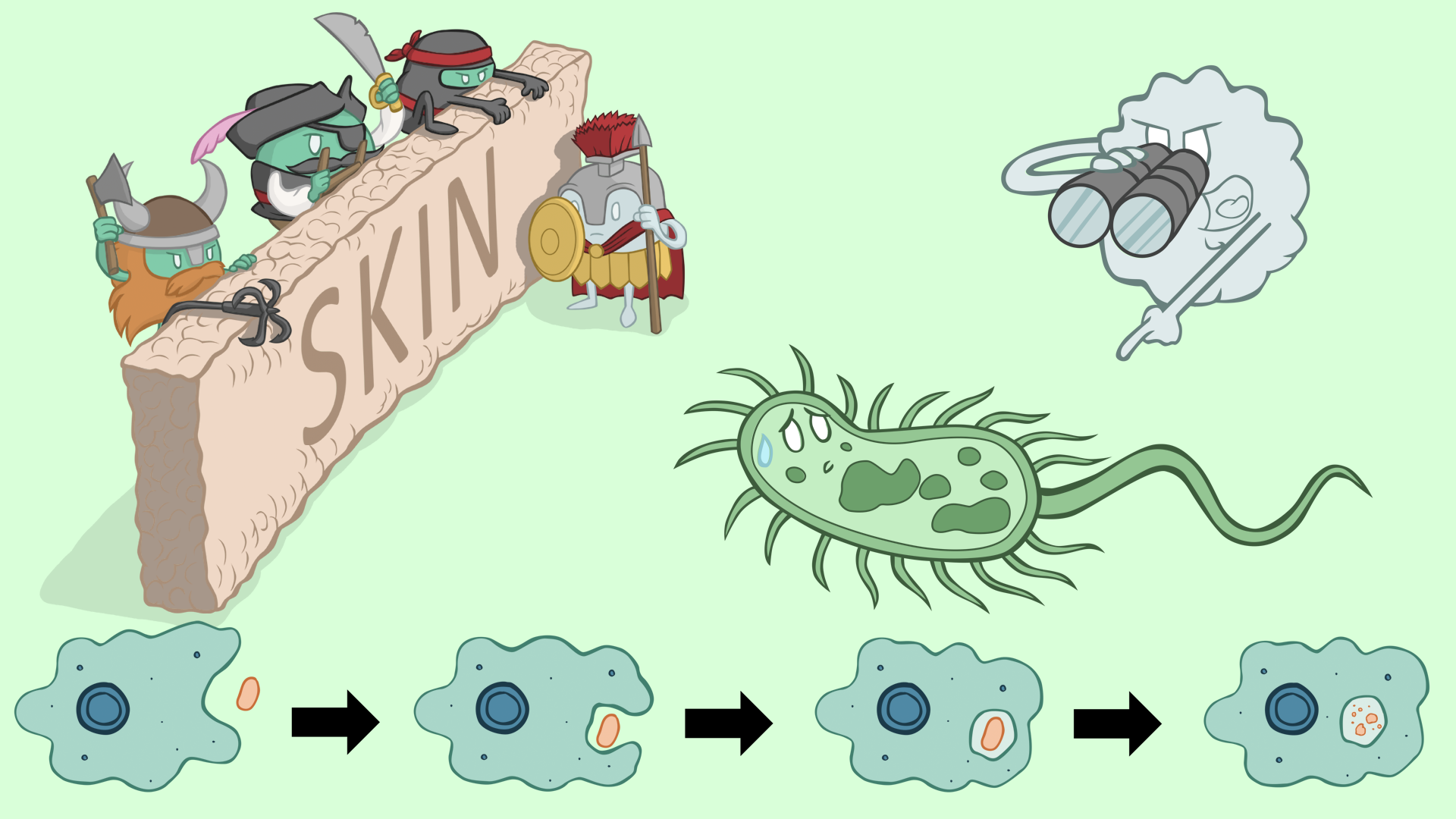 Immune System The Partnership In Education