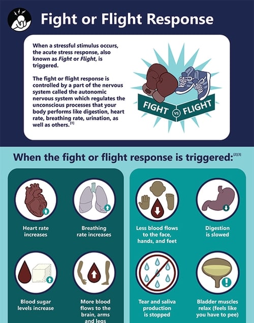 Fight or Flight | The Partnership in Education