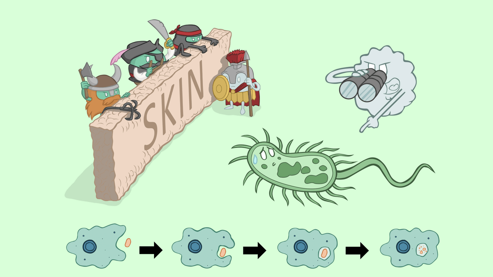 Immune System Quiz Game | The Partnership in Education