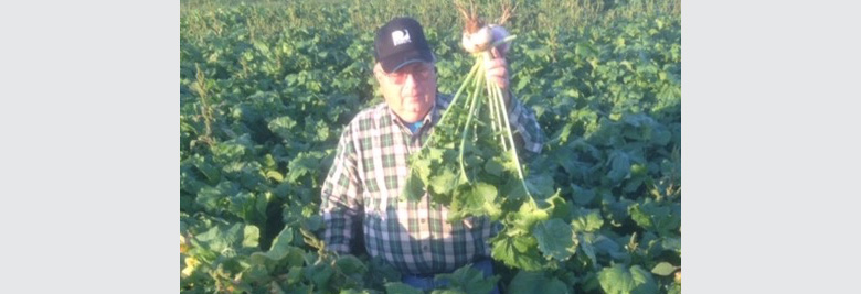 Oral History - David Fowler