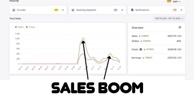 How to Start a Dropshipping Business: A Successful Dropshipper Story