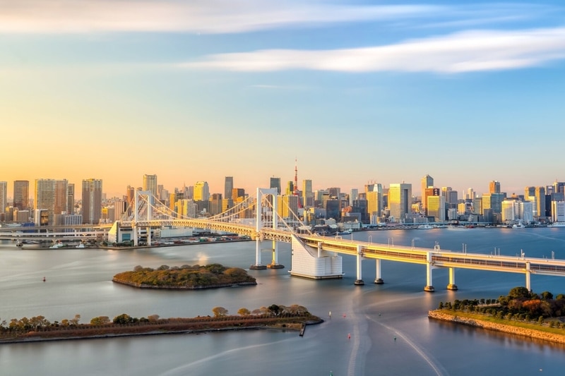 Welcome to The Pacific Bridge Companies