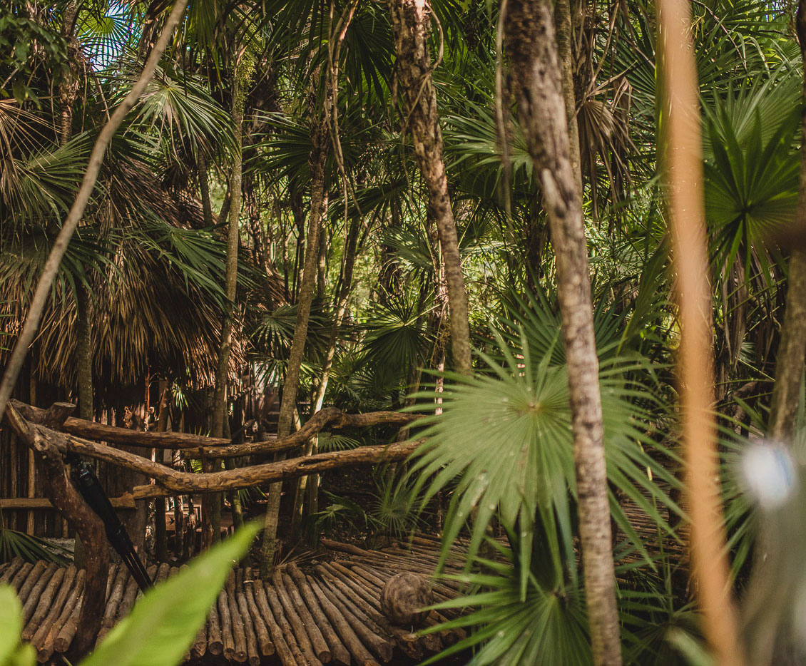 AZULIK | Join The Tribe