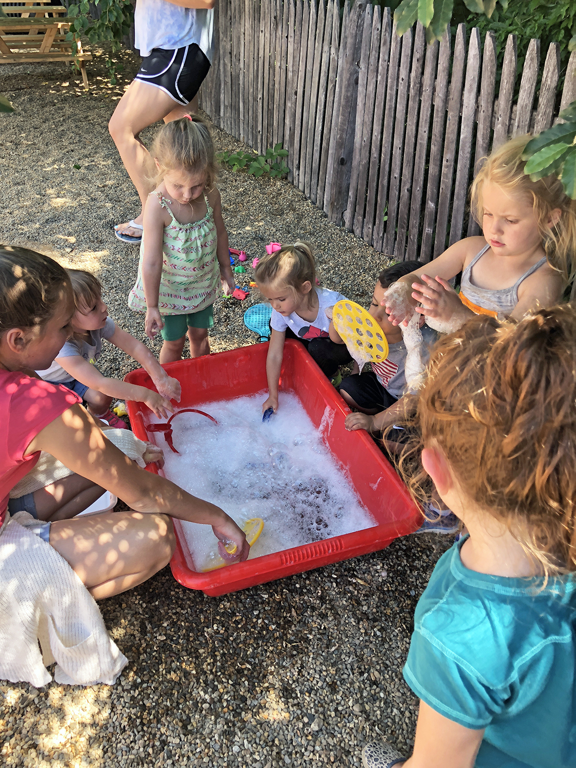 Hollis Preschool Summer Camps hollis-preschool-summer-camps