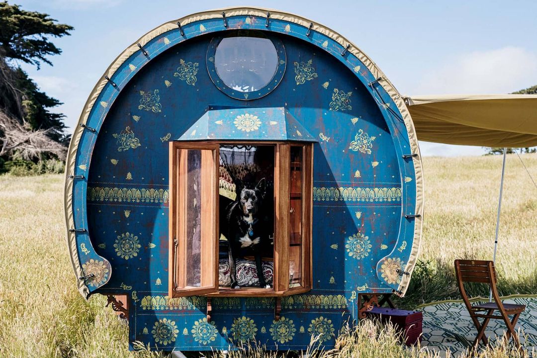 Wandering Wagons | The Ninch – Your Mornington Peninsula Guide