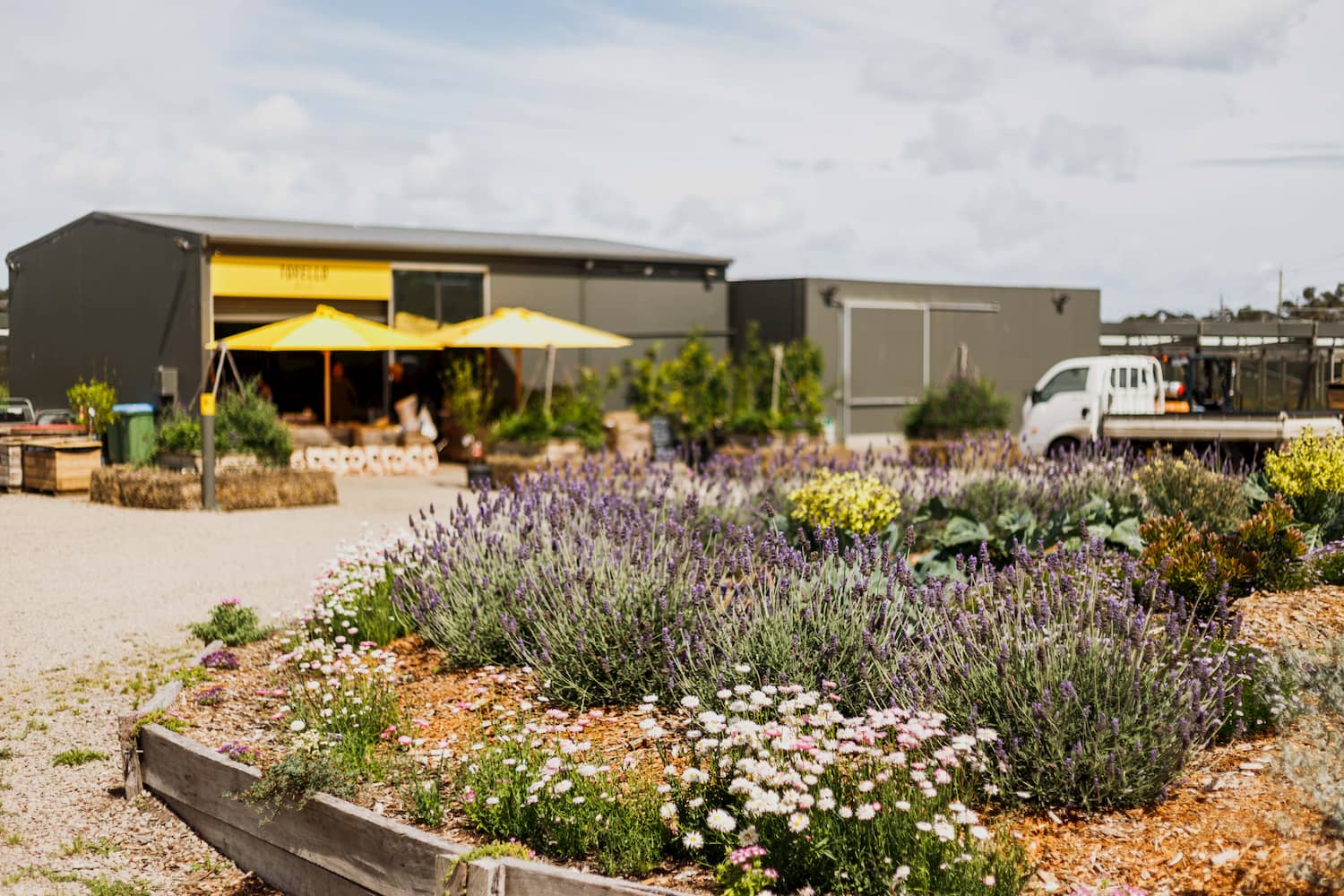 Torello Farm | The Ninch – Your Mornington Peninsula Guide