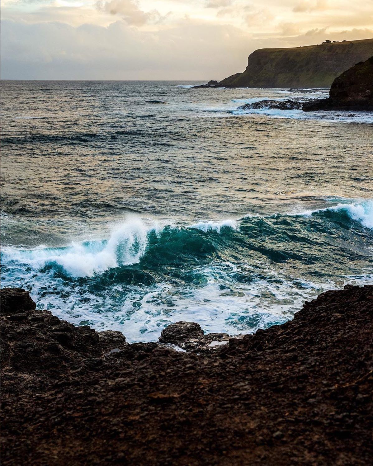 Dinner \ The Ninch – Your Mornington Peninsula Guide