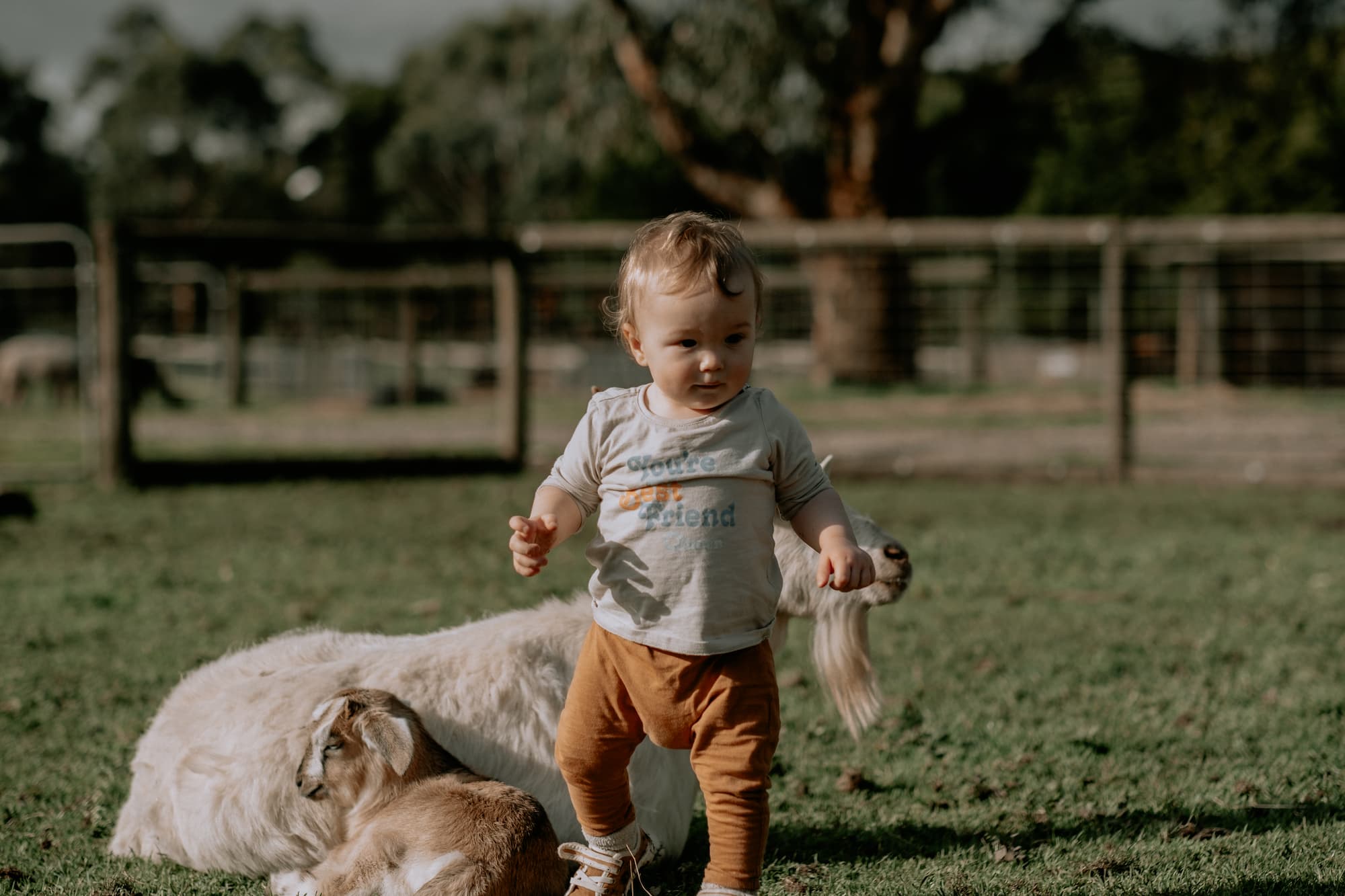 Farm Mini Family Photography Sessions – The Ninch