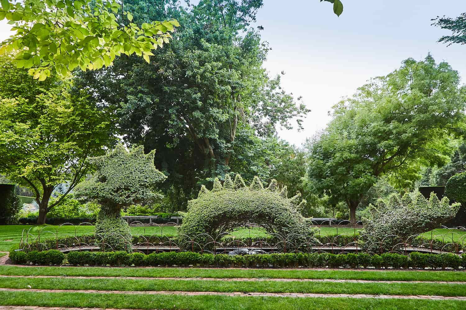 Enchanted Adventure | The Ninch – Your Mornington Peninsula Guide