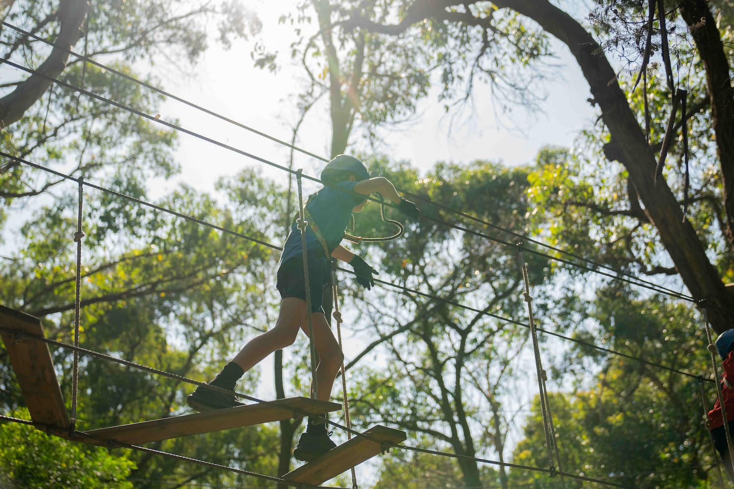 Enchanted Adventure | The Ninch – Your Mornington Peninsula Guide