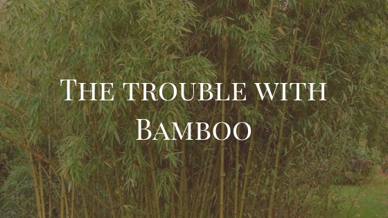 The trouble with Bamboo