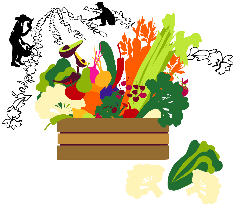 Join Us At The Table | Universal School Meals