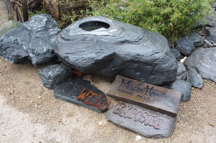 For Sale | Wild Exposure