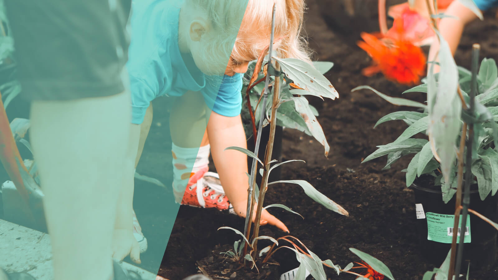 Webflow Web Design Blog | Laura Niebel