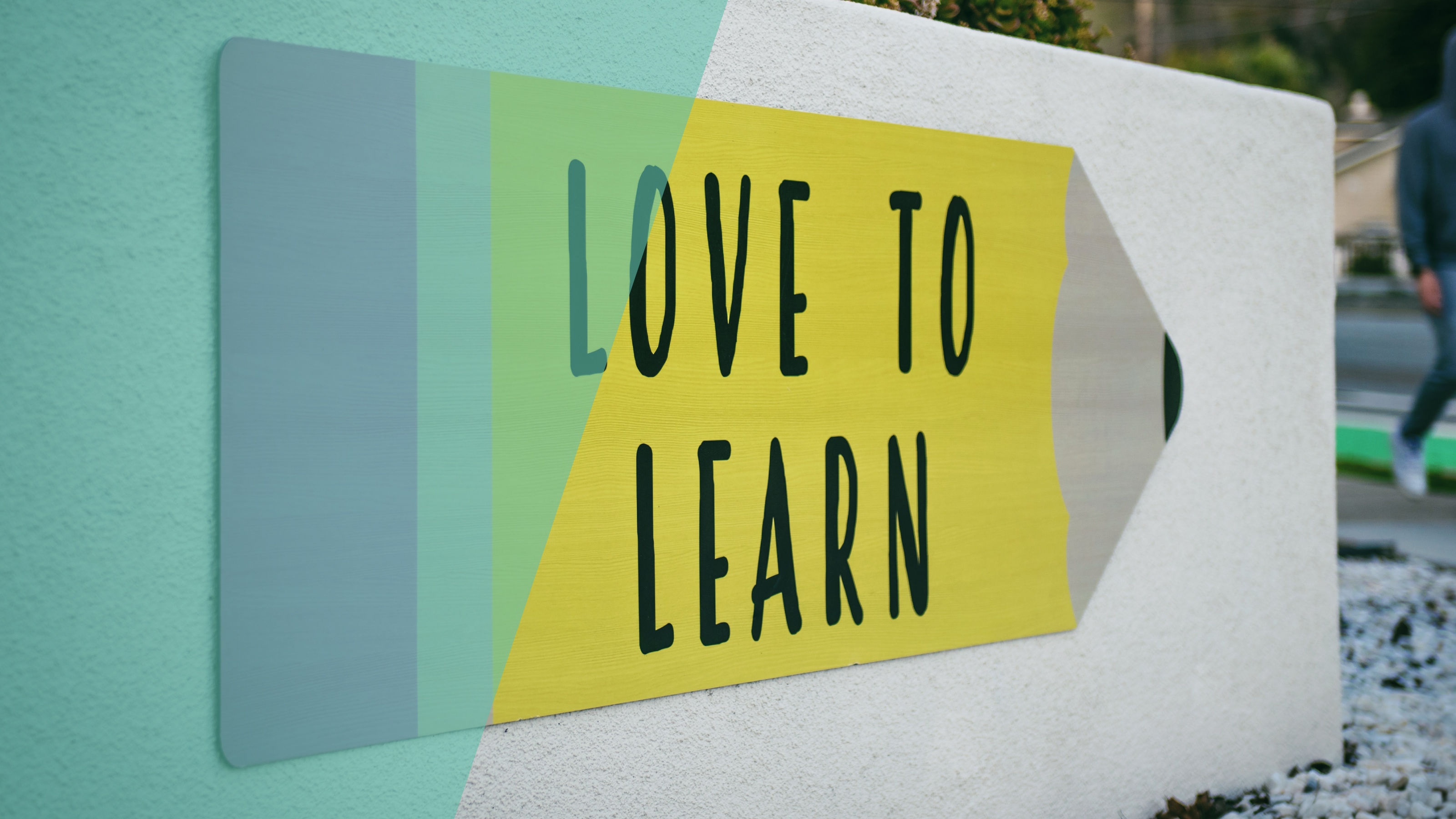 Webflow Web Design Blog | Laura Niebel