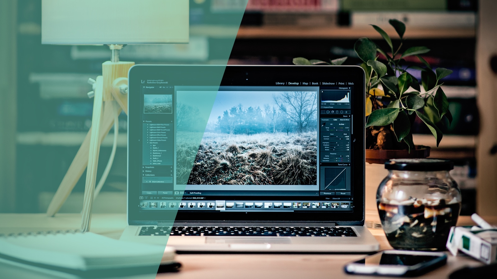 Webflow Web Design Blog | Laura Niebel