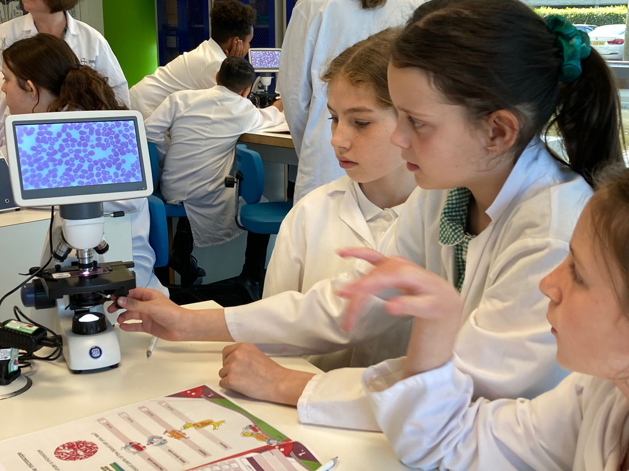 Latest News | Birch Copse