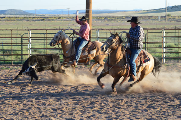 Campbell Ranch Arizona