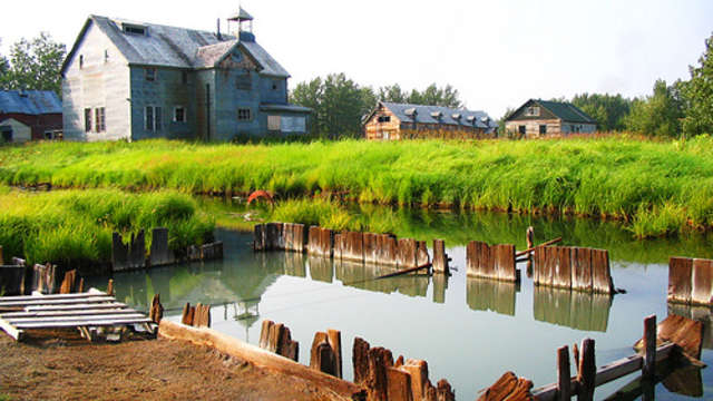 Pilgrim Hot Springs (Visit Nome Alaska)