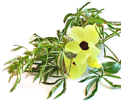 Kengro - Oil Absorbent - Erosion Control Products