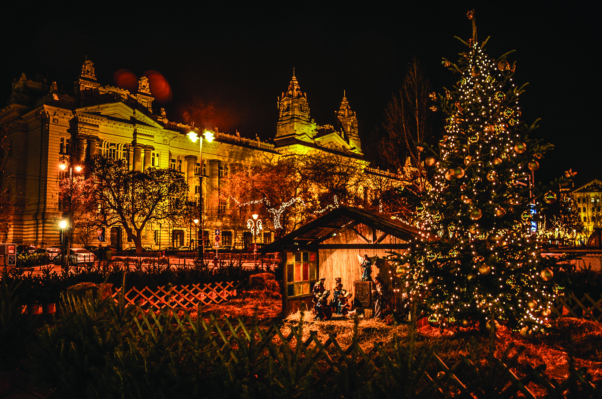 Budapest Christmas Market | Fred.\ Holidays