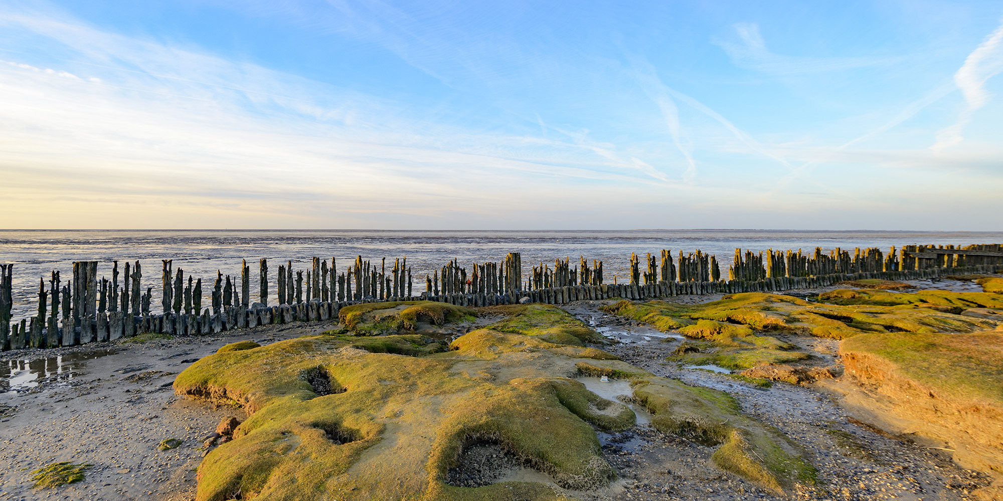 Wadden Sea | Fred.\ Holidays