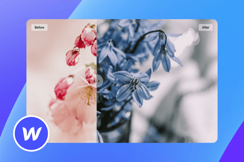 Before and After Image Slider in Webflow | Flowbase