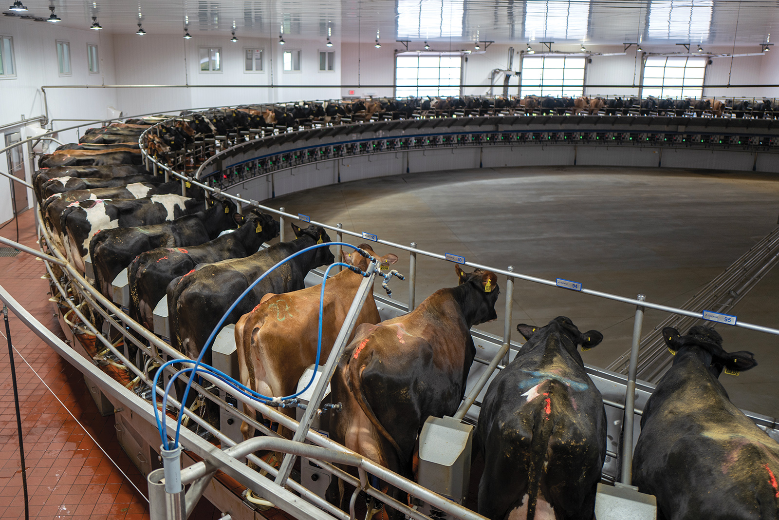 A circle of benefits from Minnesota milk