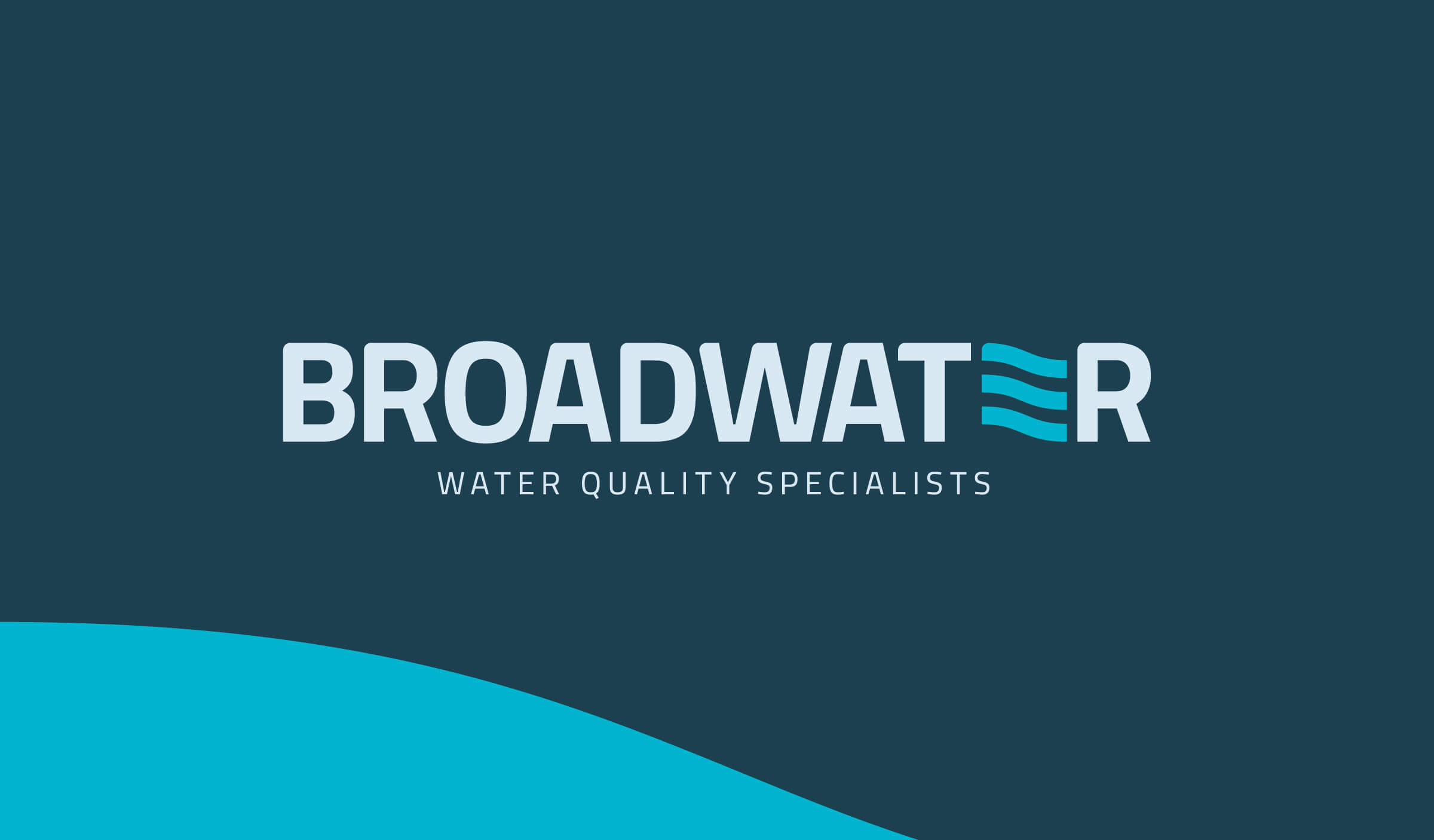 Case Study: Broadwater