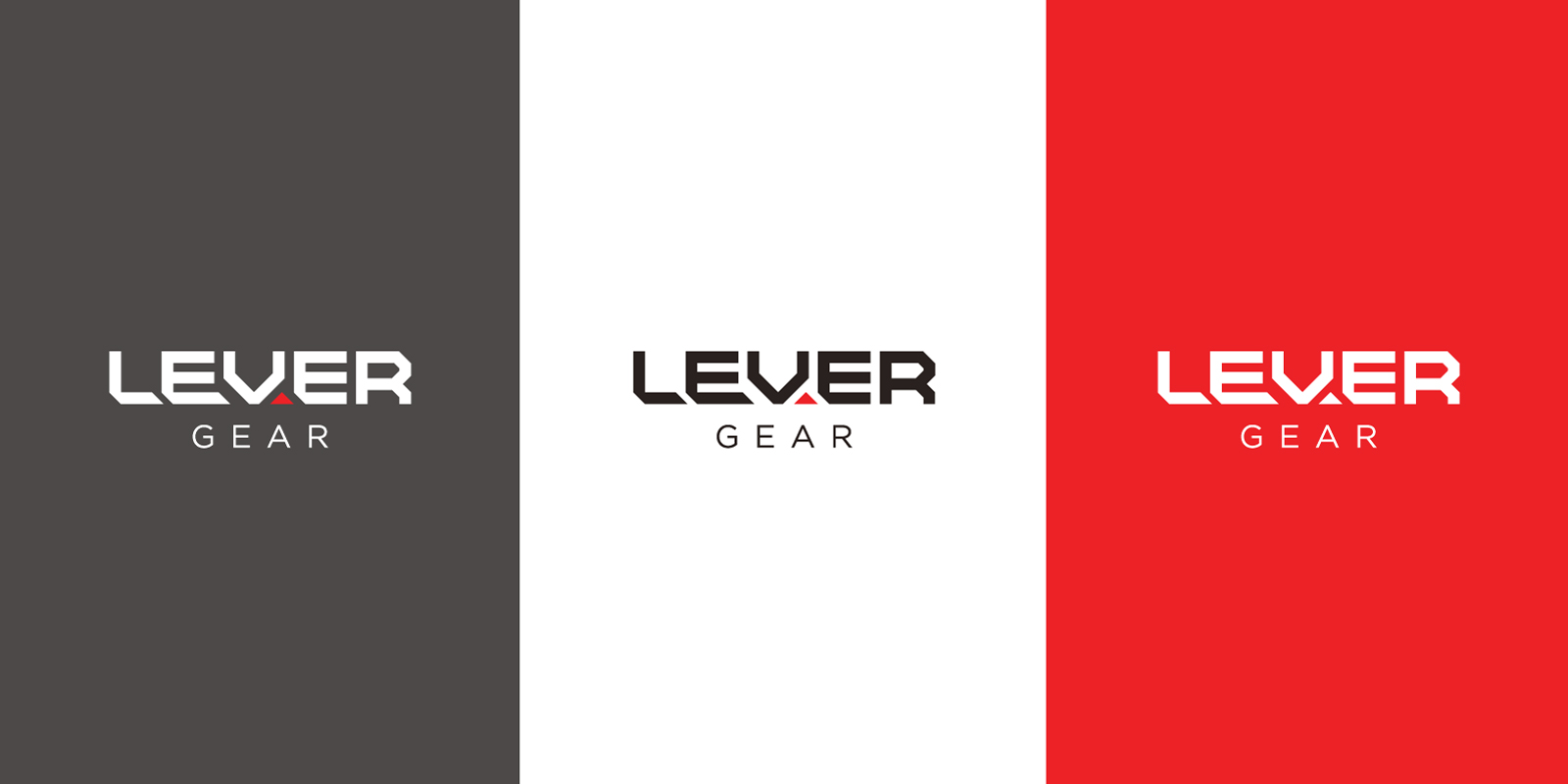 828:design / Lever Gear / Graphic Design and Web Design Asheville NC