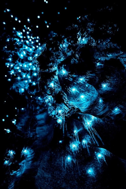 About Us | Waitomo Lodge Motel