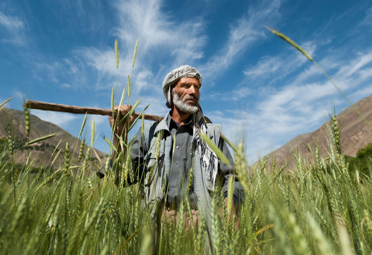 Panjshir Valley Emeralds