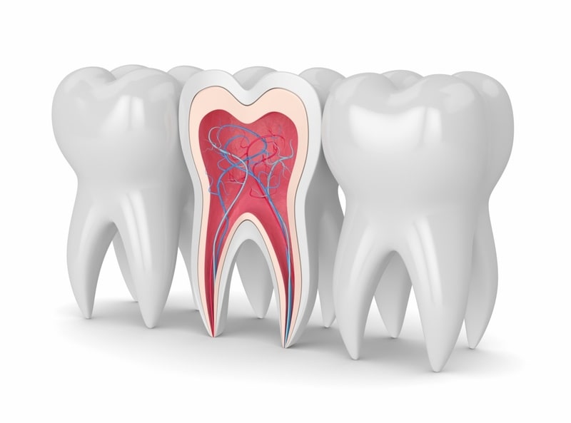 Root Canal Therapy (Anterior & Molars)