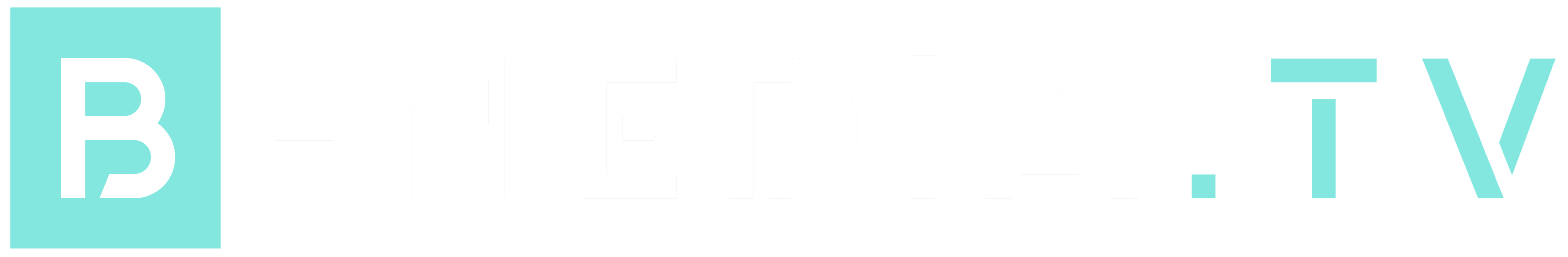 B-Media.TV - About