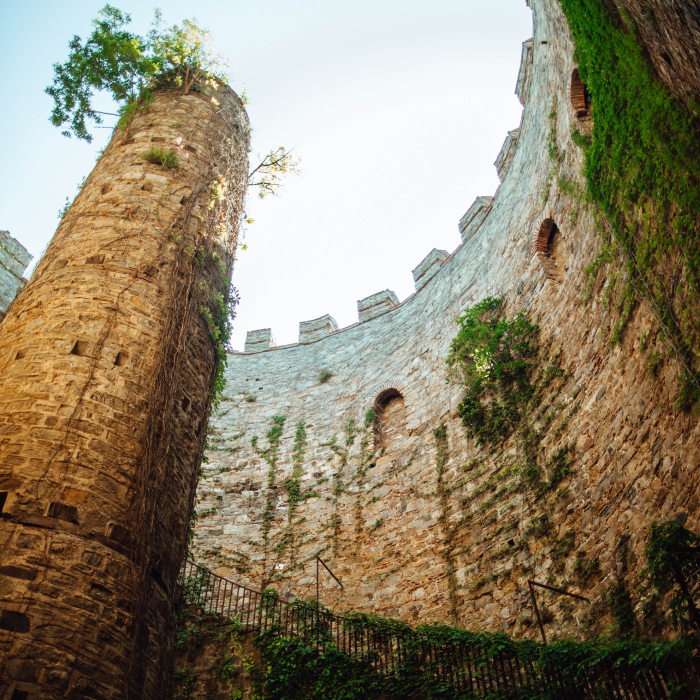 "Rapunzel" | Snoozecast: Stories for Sleep