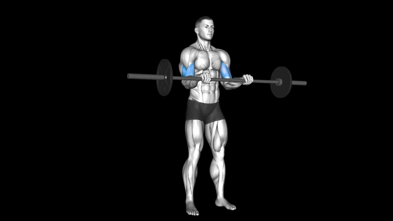 Barbell Curl – How To Video, Alternatives & More