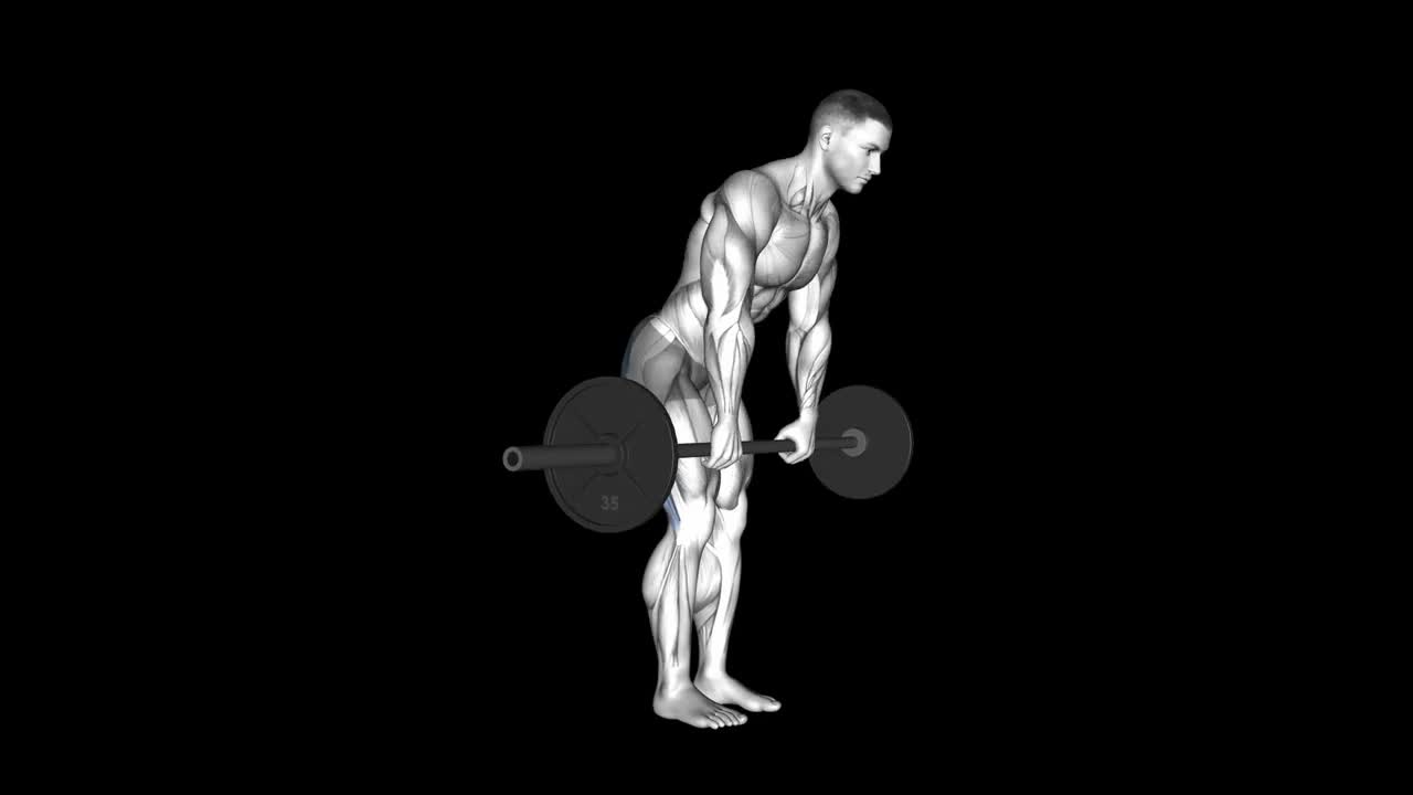 Dumbbell Romanian Deadlift – How To Video, Alternatives & More