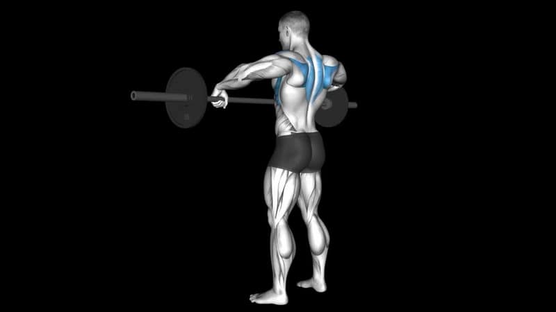 Wide Grip Barbell Upright Row – How To Video, Alternatives & More