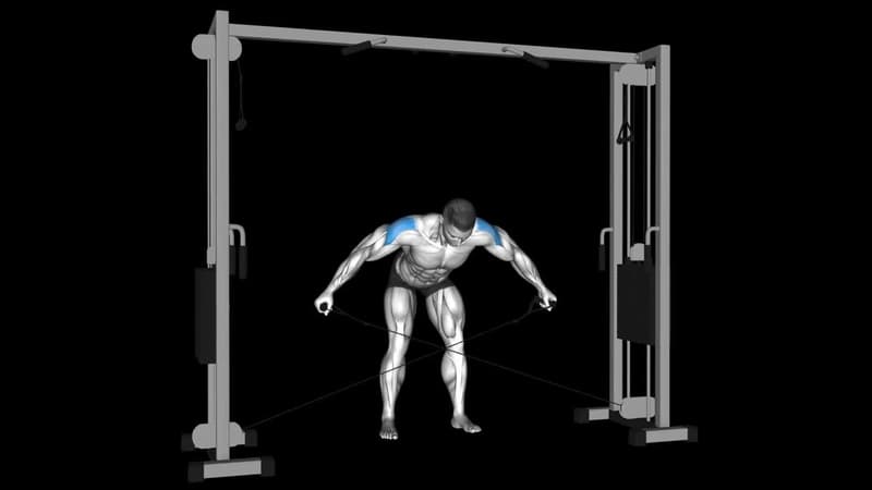 Reverse Push Up – How To Video, Alternatives & More