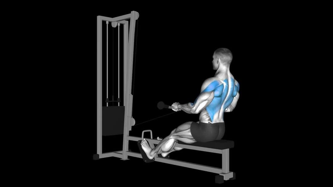 T-Bar Row – How To Video, Alternatives & More